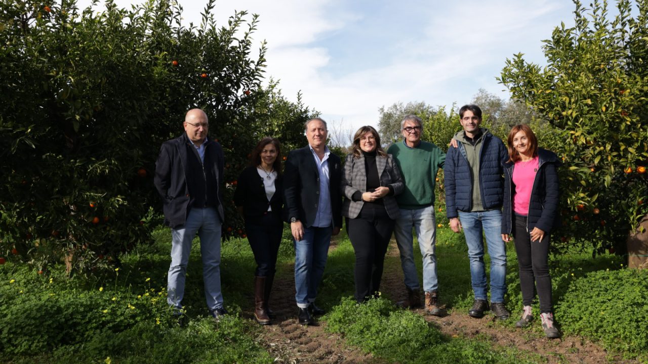CONSORZIO CLEMENTINE DI CALABRIA IGP: PRESENTATO IL NUOVO DISCIPLINARE ... CONSORZIO CLEMENTINE DI CALABRIA IGP: PRESENTATO IL NUOVO DISCIPLINARE ...